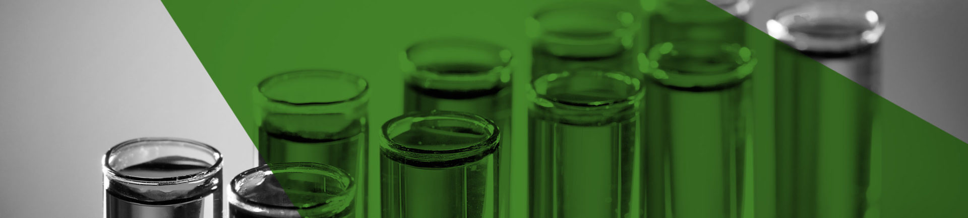 Oleochemicals - verd s.a.